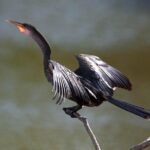 Discover the Rainforest - The Sum Up