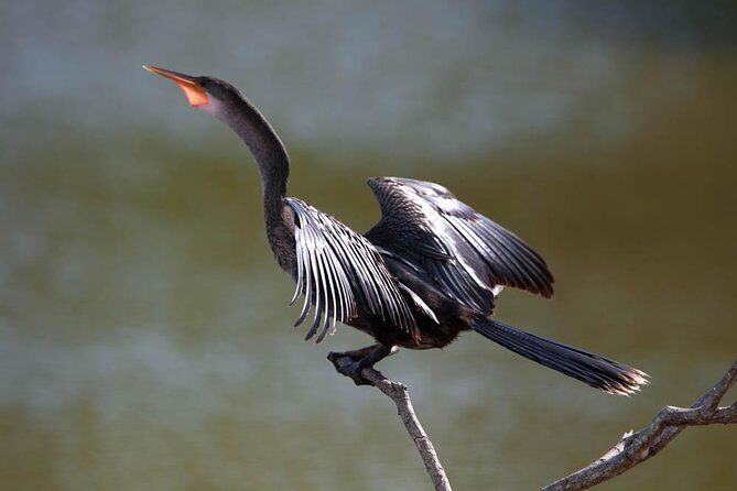 Discover the Rainforest - The Sum Up