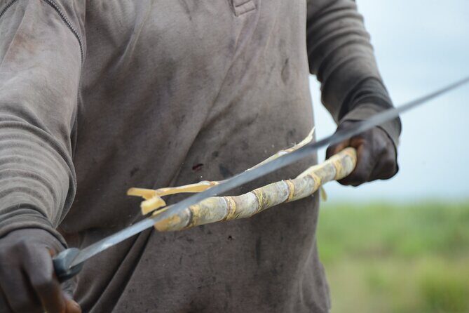 discovery and adventure of the local Dominican life in small group - Transportation, Group Size, and Value