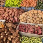 Discovery DE the real Dominican Republic EN small committee. - FAQ