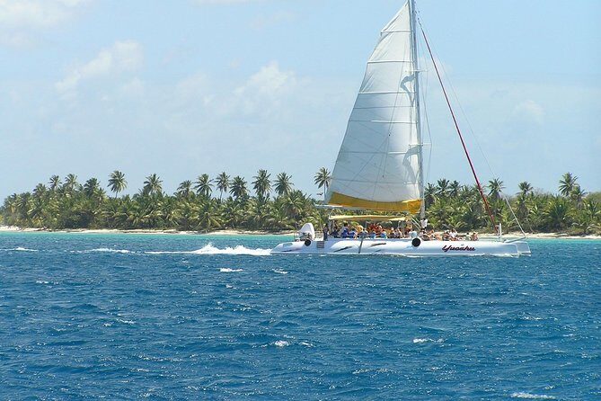 Discovery Package Saona Island & Buggies From Punta Cana - Why This Tour Offers Great Value