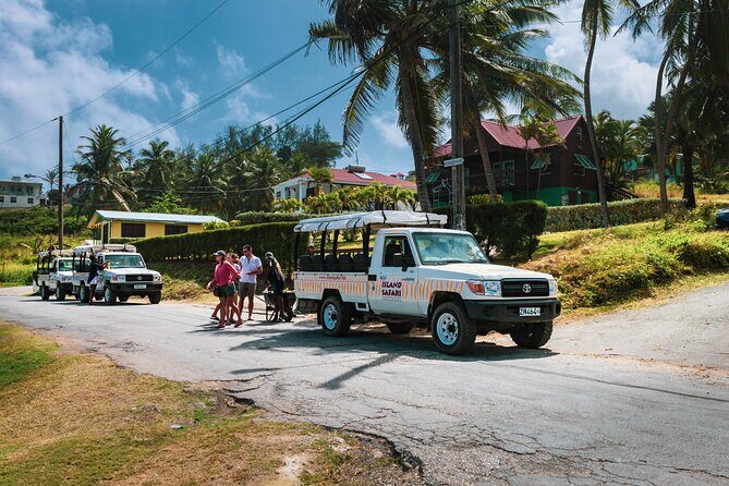 Discovery Safari - Final Thoughts