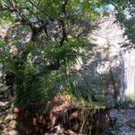 Discovery Tour and Treasure Hunt ( North and Middle Caicos) - Exploring the Itinerary in Detail