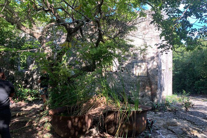 Discovery Tour and Treasure Hunt ( North and Middle Caicos) - Exploring the Itinerary in Detail