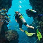 Dive Boat Tour on Catalina Bayahibe Island - Value and Practicality