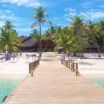 Dive Boat Tour on Catalina Bayahibe Island - Why This Tour Stands Out