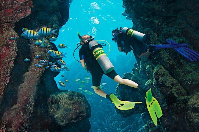 Dive Boat Tour on Catalina Bayahibe Island - Value and Practicality