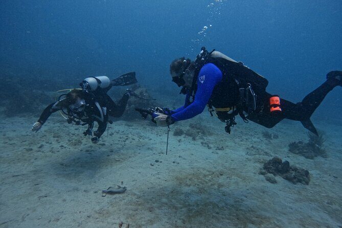 DiveCarib - An Eco-Friendly Certified Diver Trip in Antigua - The Itinerary: Step-by-Step