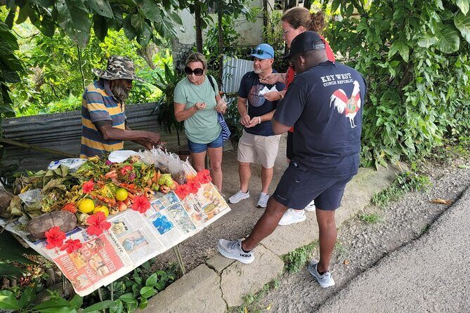 Diving and Rafting Tour in Ocho Rios Jamaica - What to Expect at Each Stop