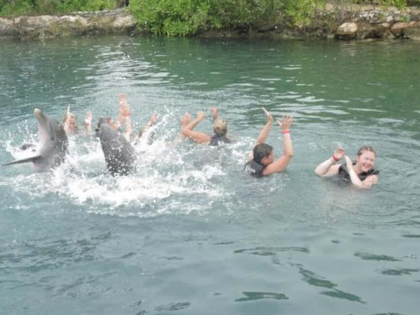 Dolphin Swim Adventure - The Sum Up