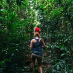 Dominica Hiking Adventures - What Makes Dominica Hiking Adventures Stand Out?