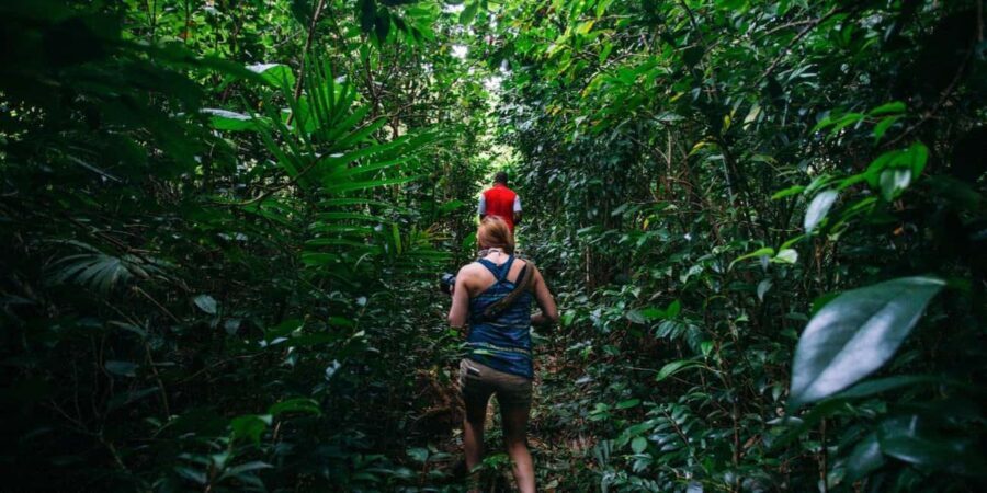 Dominica Hiking Adventures - What Makes Dominica Hiking Adventures Stand Out?