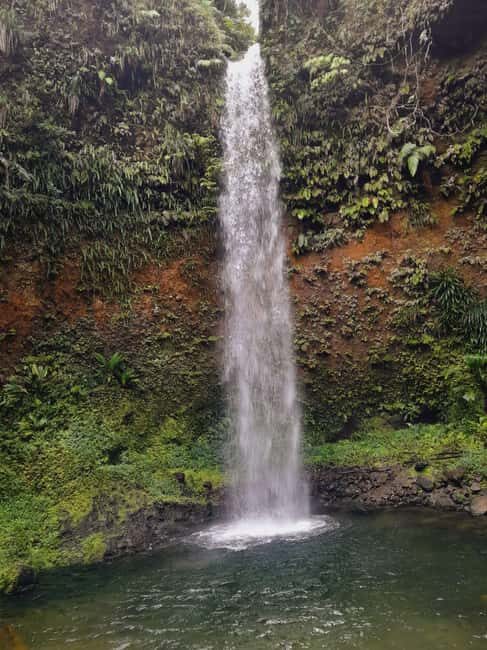 Dominica: Local Bush Rum Bar, Waterfall and River Pool Tour - What Others Say