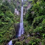 Dominica: Middleham Falls, Titou Gorge, and Trafalgar Falls - Titou Gorge: A Refreshing Swim