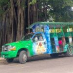 Dominica: Safari Scenic Tour with Karaoke - Why This Tour Offers Good Value