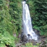 Dominica Scenic Waterfalls and Hot Springs @ Autop Tours - Practical Details and What to Expect