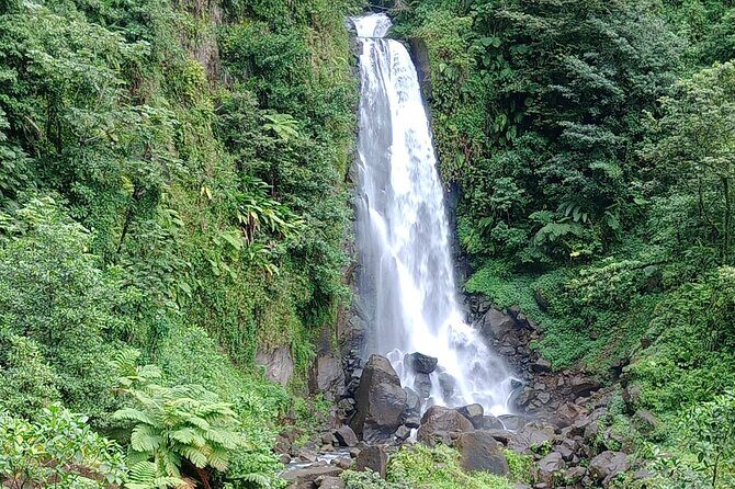 Dominica Scenic Waterfalls and Hot Springs @ Autop Tours - Practical Details and What to Expect