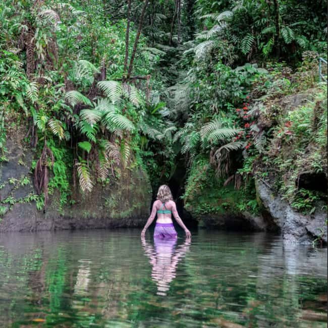 Dominica Waterfalls Chasing and Snorkeling Experience - The Scenic Drive: A Taste of Local Life