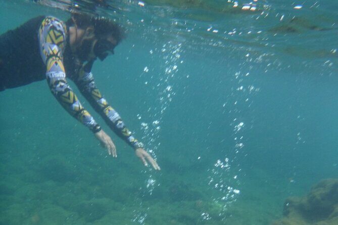 Dominica Waterfalls Chasing Experience - The Experience: What Travelers Can Expect