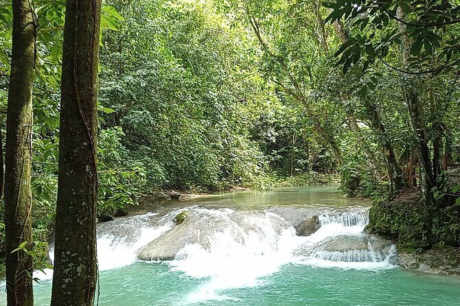 Dominican FLAVOR & COUNTRYSIDE SAFARI Pick-up Included - Who Should Consider This Tour?