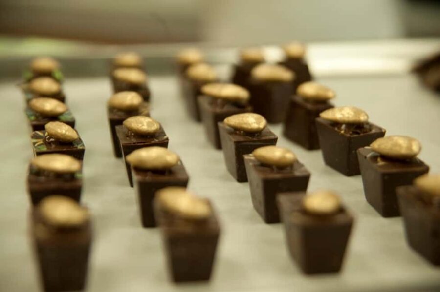 Dominican Republic: 3-Hour Chocolate Lovers Tour - Practical Details and Tips