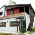 Dominican Republic Cacao Plantation Tour - What You Can Expect During the Tour