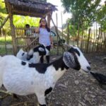 Dominican Republic Countryside Safari Tour from Puerto Plata - Practical Details & What It Means for You