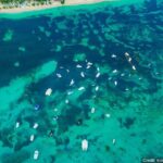 Dominican Republic: See Almost it ALL in 6 Days, 1st Class Custom Tours - Meals and Drinks