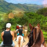 Dominican Roots: Unforgettable Cultural Adventure in Punta Cana - Detailed Reflection on the Experience