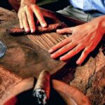 Don Lucas Cigar Factory, Rum tasting, Cocoa factory, Souvenirs - The Practicalities and Considerations