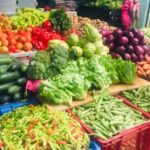 Dreams Royal Beach - Round Trip Shuttle - Punta Cana Airport - The Itinerary: What to Expect