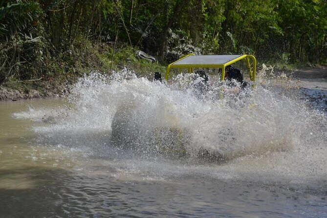 Dune Buggies Adventure - What Travelers Say: Authentic and Enjoyable