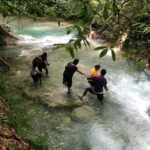 Dune Buggies Experience and Mayfield falls - What Do Travelers Say?