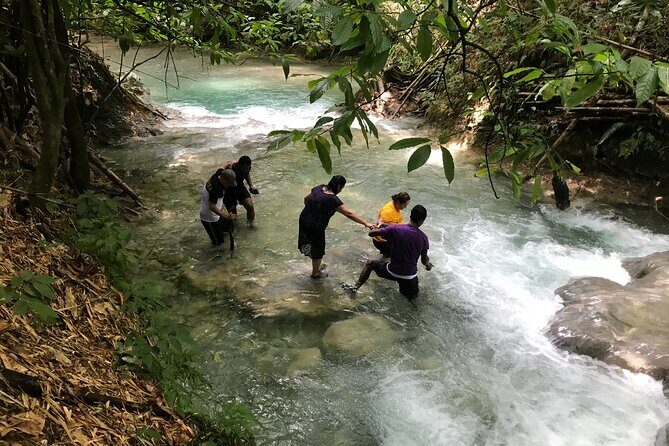 Dune Buggies Experience and Mayfield falls - What Do Travelers Say?