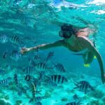 Dunes Snorkeling Tour Outside Santo Domingo - Authentic Experiences and Traveler Feedback