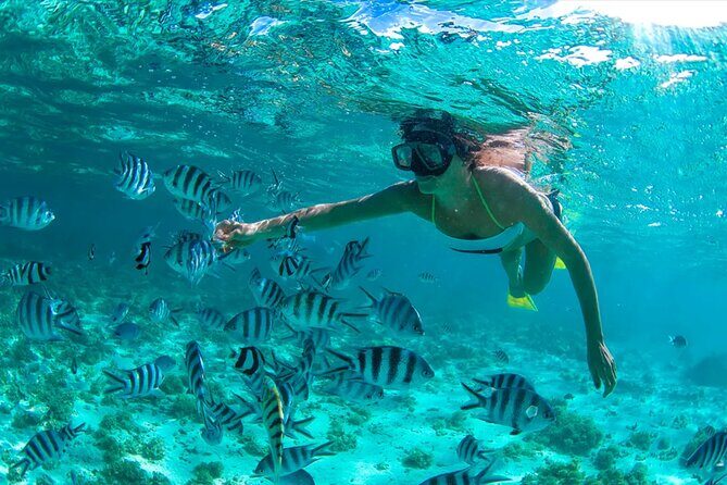 Dunes Snorkeling Tour Outside Santo Domingo - Authentic Experiences and Traveler Feedback