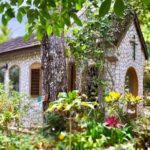 Dunn River Falls and Bob Marley Nine Miles Tour with Lunch - Final Thoughts