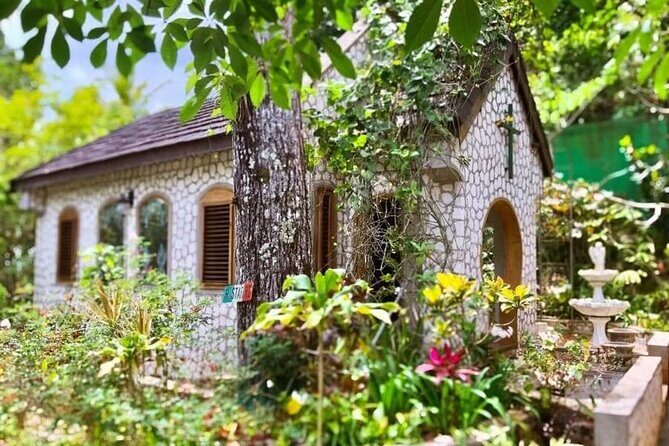 Dunn River Falls and Bob Marley Nine Miles Tour with Lunch - Final Thoughts