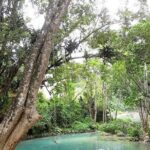 Dunn's Falls Half-Day Tour from Runaway Bay - Final Thoughts