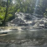 Dunns River Falls Adventure Tour - The Climb: What to Expect