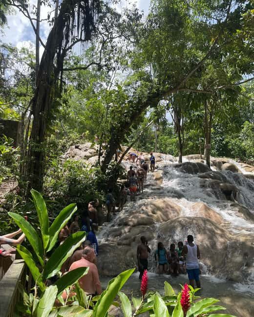 Dunns River Falls and Atv Adventure from Falmouth/ Trelawny - Who Should Book This Tour?