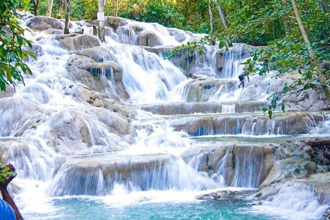 Dunn's River Falls and Bob Marley Mausoleum - Who will love this tour?