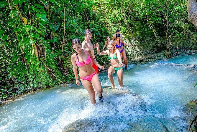 Dunn's River Falls and Luminous Lagoon Guided Tour from Grand Palladium - An In-Depth Look at the Tour Experience