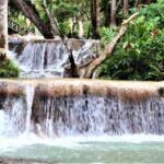 Dunn's River Falls and Ocho Rios Shopping Tour from Grand Palladium Resorts - Who This Tour Is Best For