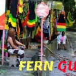 Dunn's River Falls and OchoRios Highlight View Scenic Fern Gully - The Itinerary: What to Expect