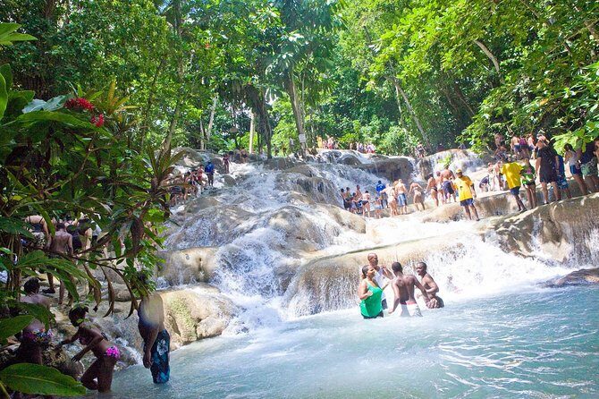 Dunns River Falls and Park Private Tour - Transportation and Logistics