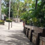 Dunn's River Falls & Blue Hole Tour from Montego Bay - Transportation and Guide Experience: Why It Matters