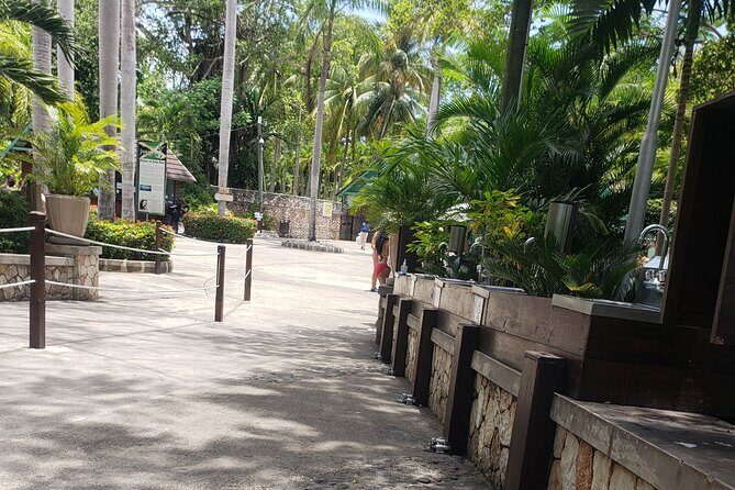 Dunn's River Falls & Blue Hole Tour from Montego Bay - Transportation and Guide Experience: Why It Matters