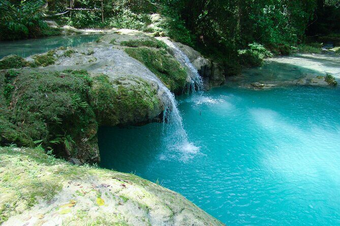 Dunn's River Falls & Blue Hole Tour Ocho Rios -Admission Included - What Trip Advisors Say