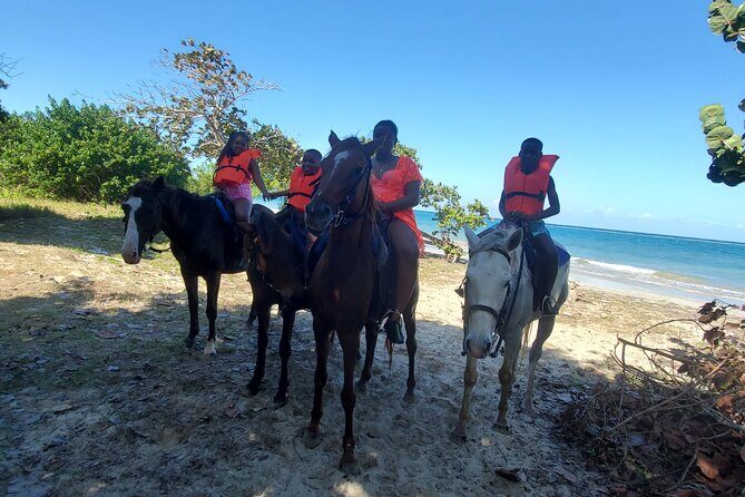Dunn's River Falls Climb, Zipline and Horseback Riding Private Tour - The Sum Up